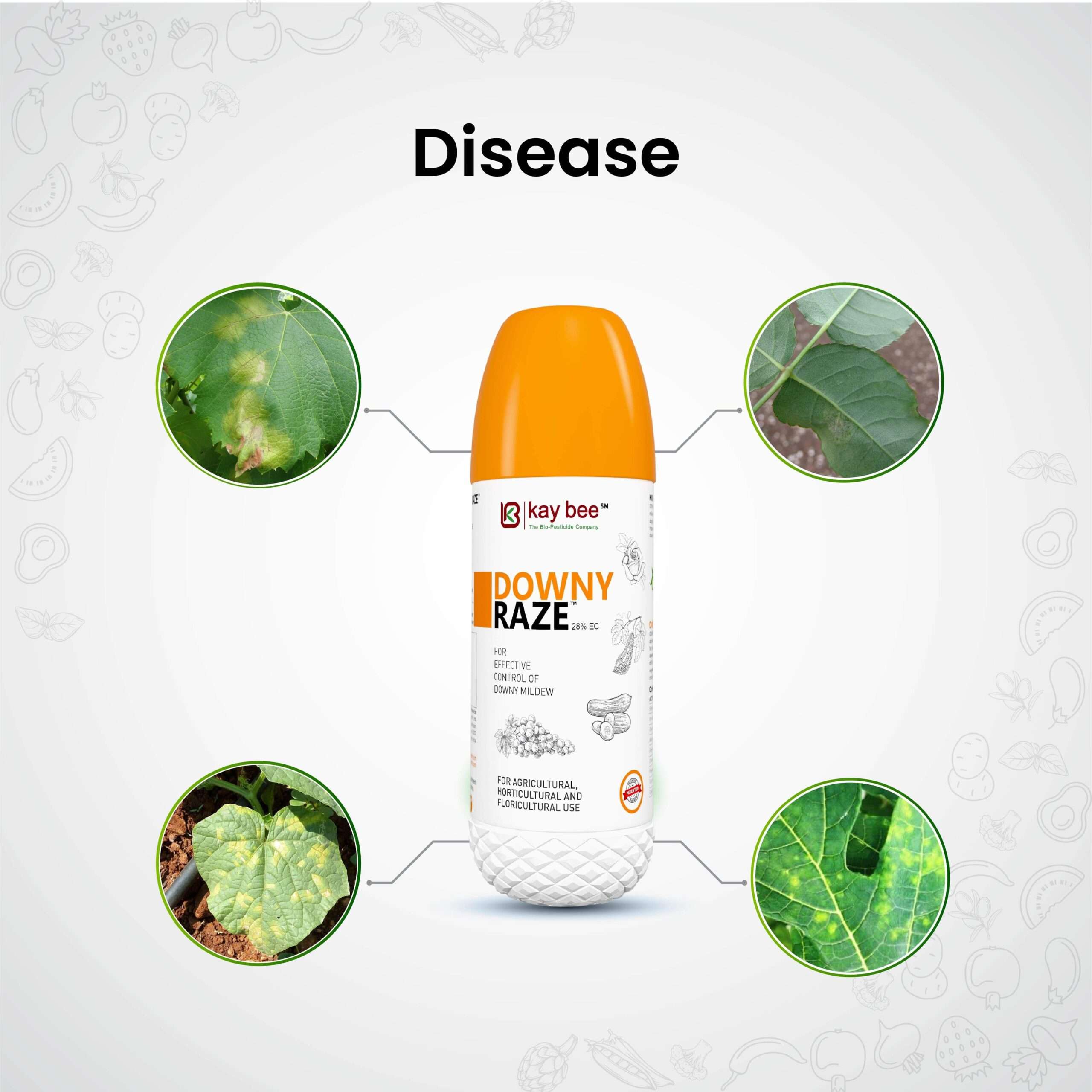 Buy Fungicide for Downy Mildew Treatment in India | Downy Raze – Kay ...