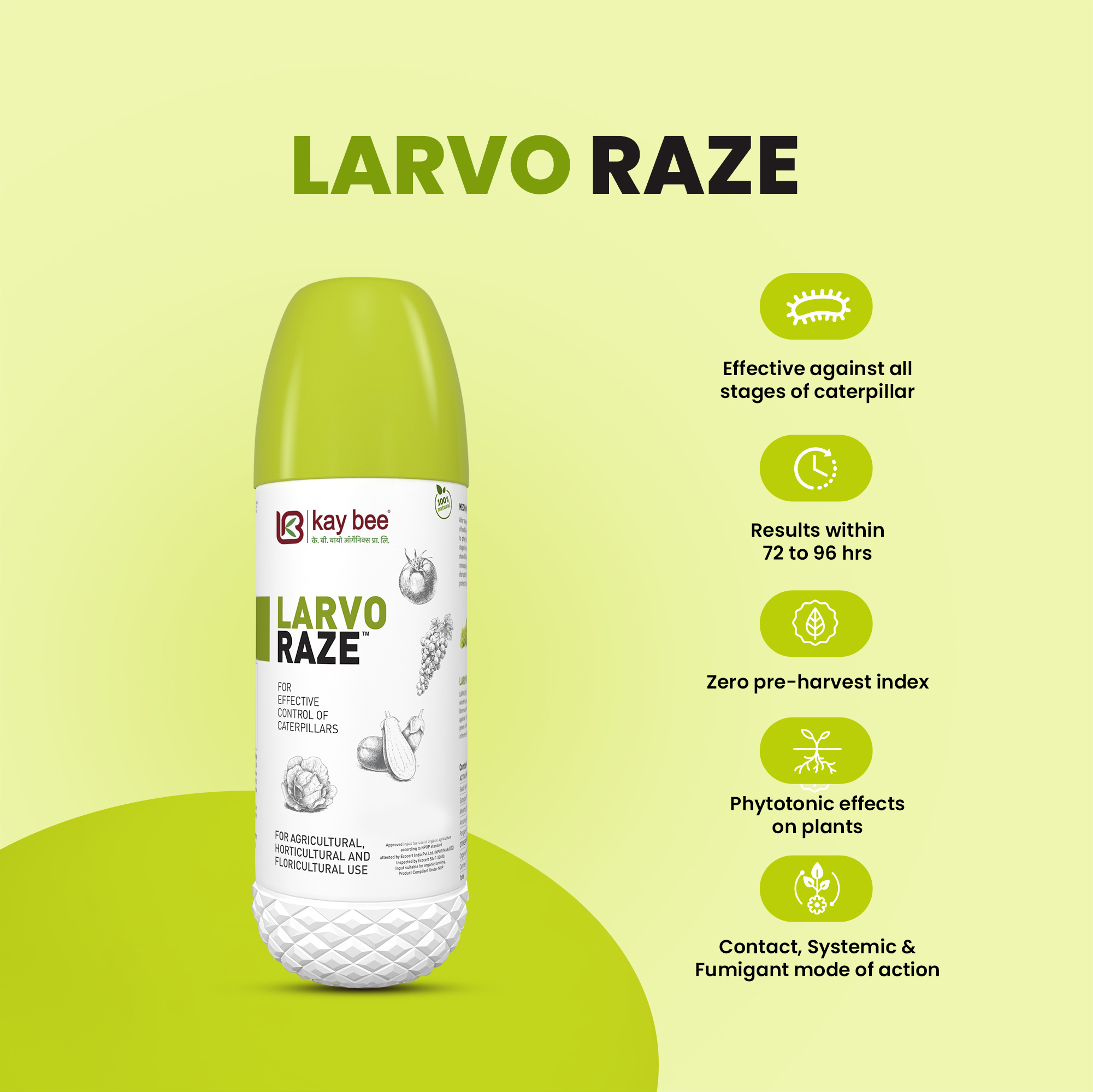Bio Larvicide, Best Solution for Stem and Shoot Borers of Brinjal, Rice ...